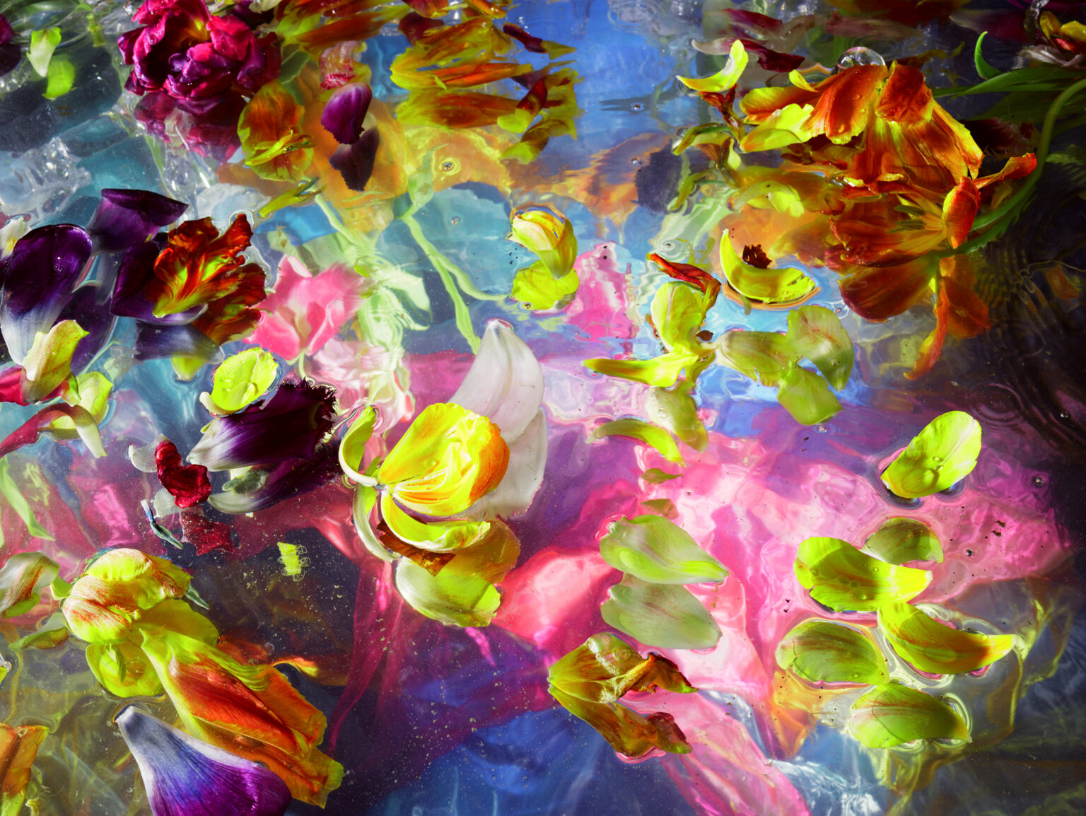 Holy disorders - Margriet Smulders